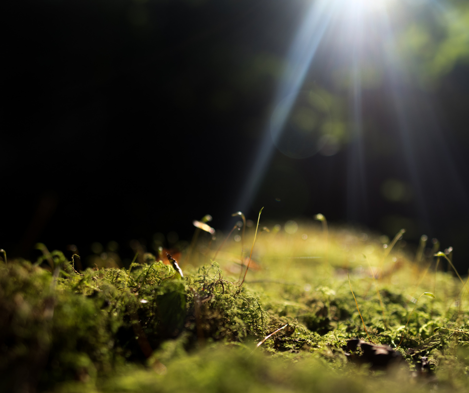 When and How Do We Rise Above Into Newness of Life? - Relational Gospel ...