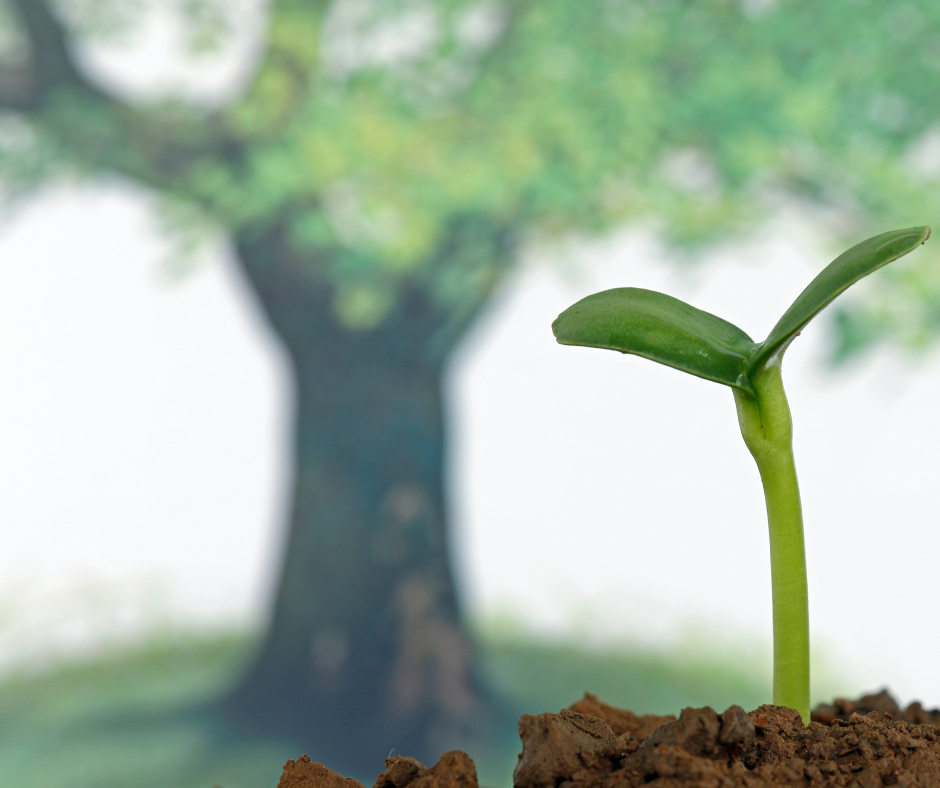 When and How Do We Rise Above Into Newness of Life? - Relational Gospel ...