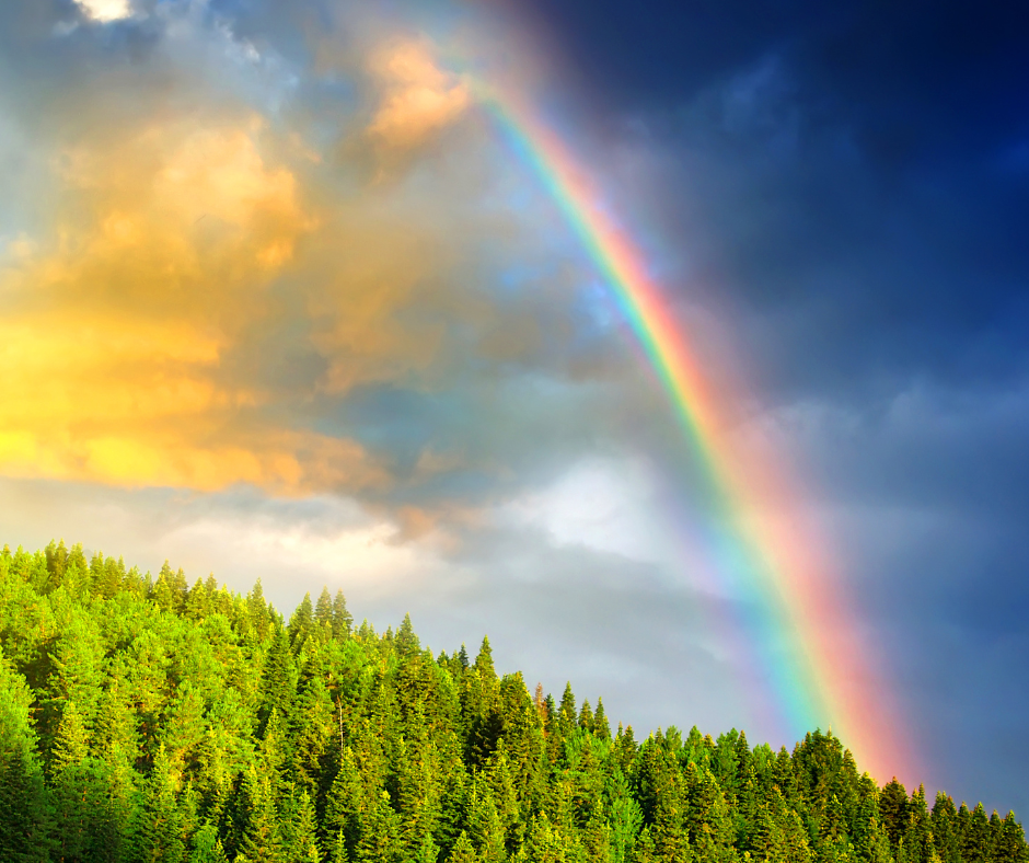 Where Does Evil Come From? - Relational Gospel | Relational Gospel